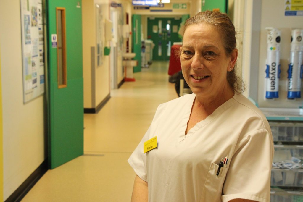 Success of new hospital support workers leads to health permanent ...