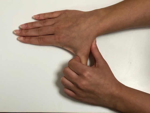 Hand Therapy - Carpometacarpal Joint Osteoarthritis - North Tees and ...