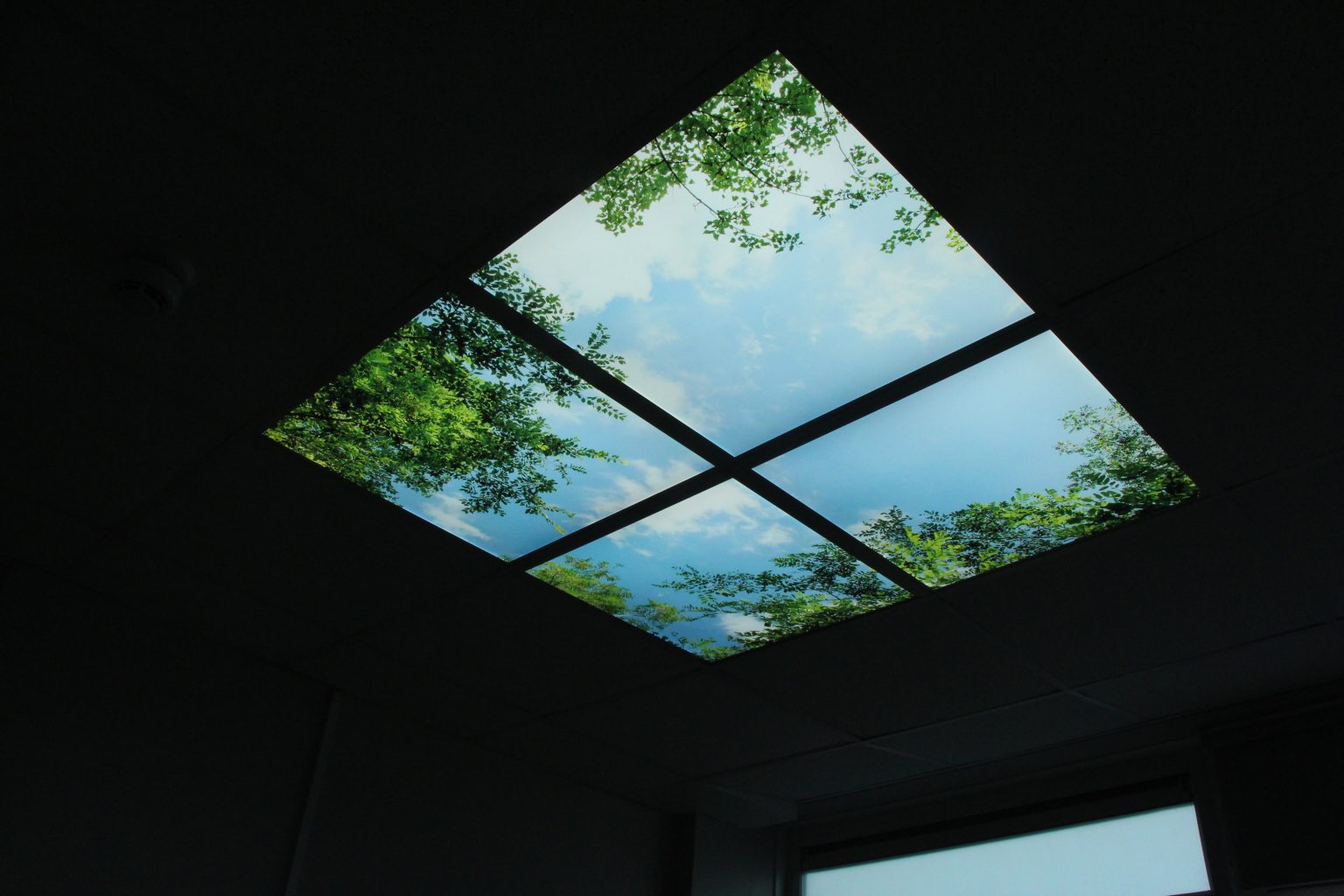 Sky’s the limit: LED ceiling tiles donated to Hartlepool hospital scan ...