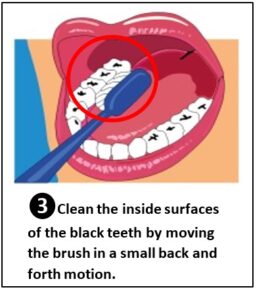 A Guide to Toothbrushing - North Tees and Hartlepool NHS Foundation Trust